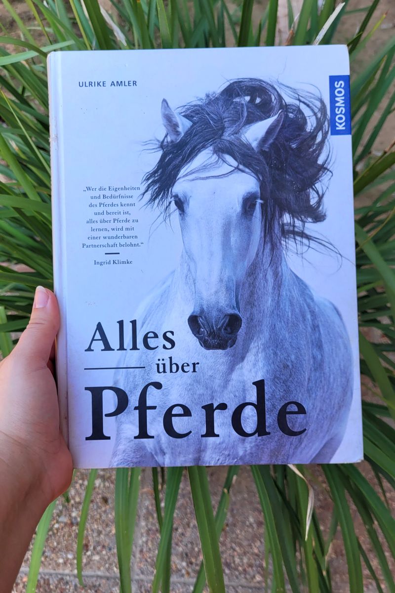 Happy Books - Alles über Pferde